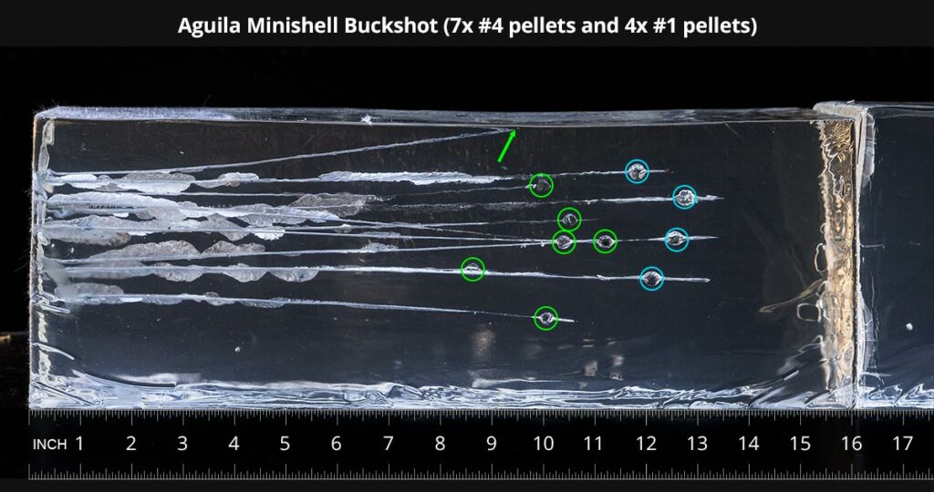 Are Mini Shotgun Shells Viable for Self-Defense? - Lucky Gunner Lounge