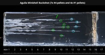 Are Mini Shotgun Shells Viable for Self-Defense? - Lucky Gunner Lounge