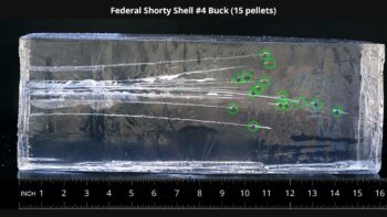 Are Mini Shotgun Shells Viable for Self-Defense? - Lucky Gunner Lounge