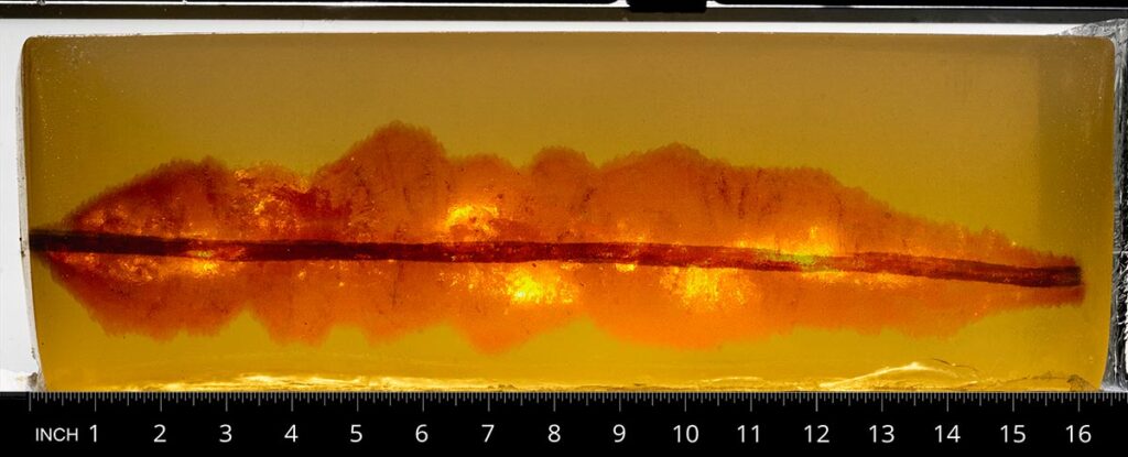 Terminal Ballistics Basics: Rifles vs Pistols