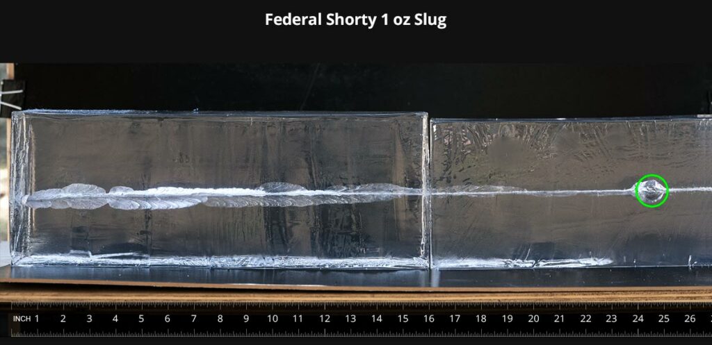 Are Mini Shotgun Shells Viable for Self-Defense? - Lucky Gunner Lounge